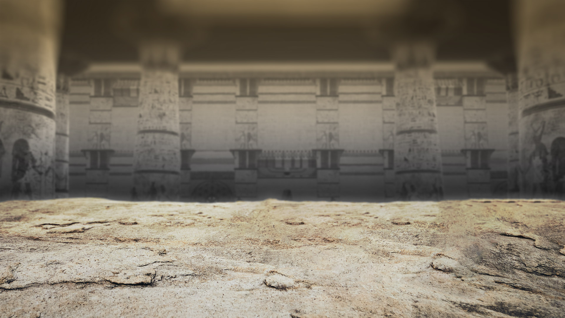 Animvs Game Studio – Life Is a game